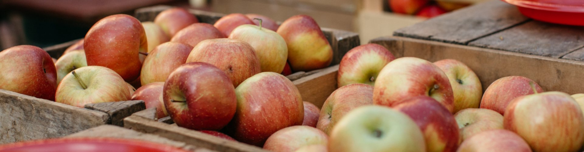 Apple Crisp – FRESHFARM