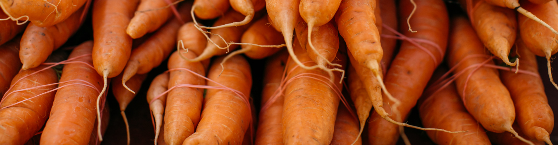 Moroccan Carrot Salad – FRESHFARM