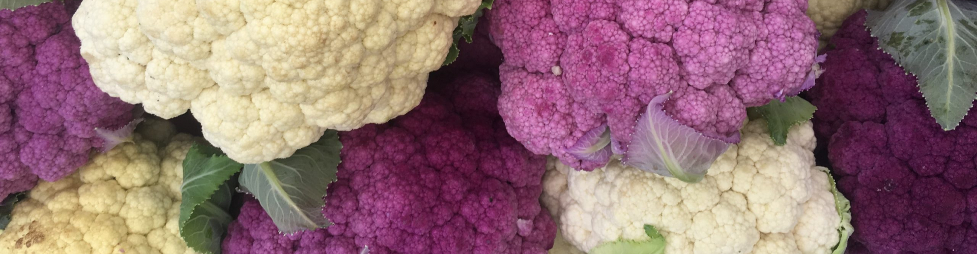 Spiced Cauliflower Rice – FRESHFARM