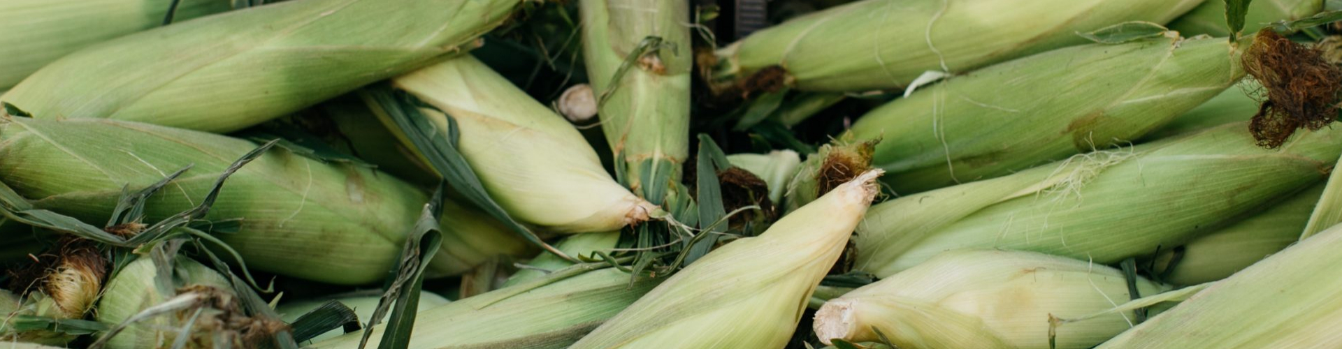 Bean & Corn Salad – FRESHFARM