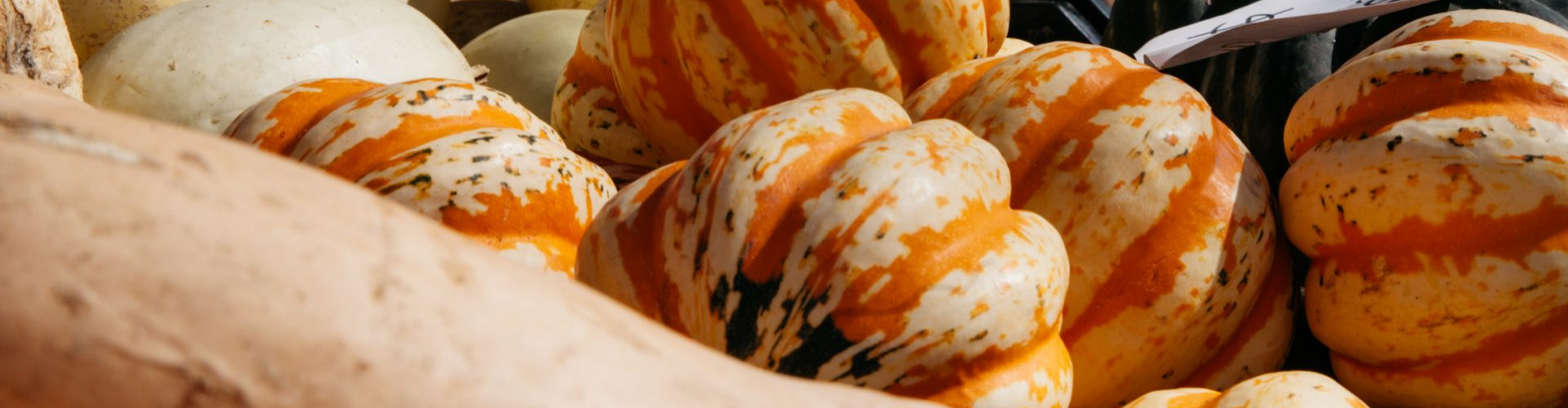 Mashed Winter Squash – FRESHFARM