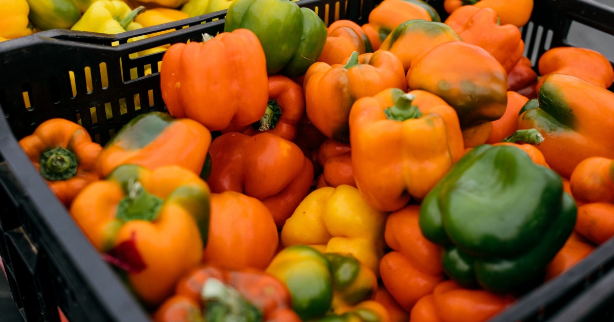 Bell Peppers – FRESHFARM