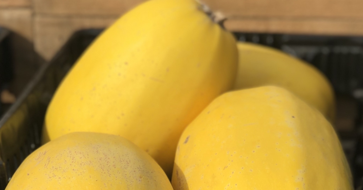 Spaghetti Squash – FRESHFARM