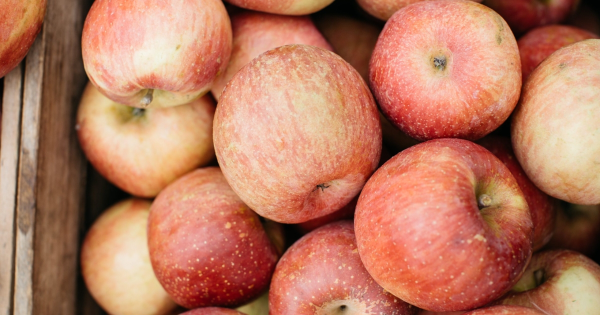 Apples – FRESHFARM