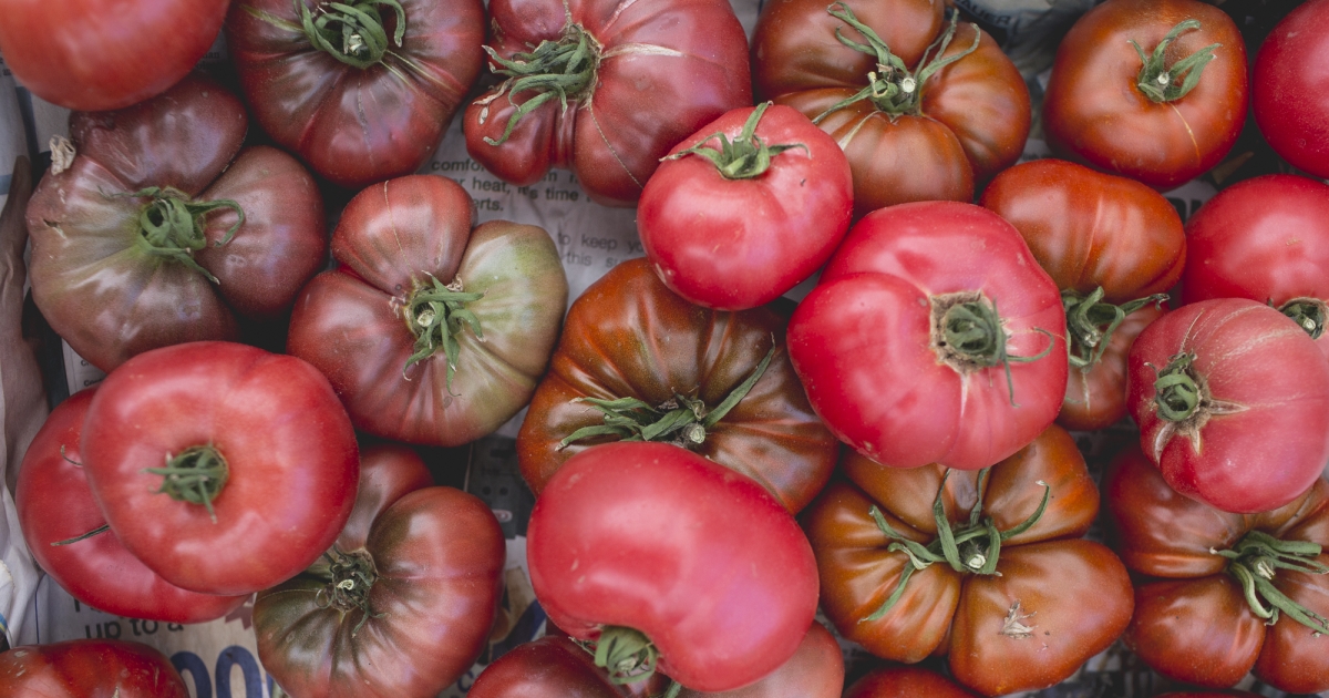 Words To Eat By – FRESHFARM