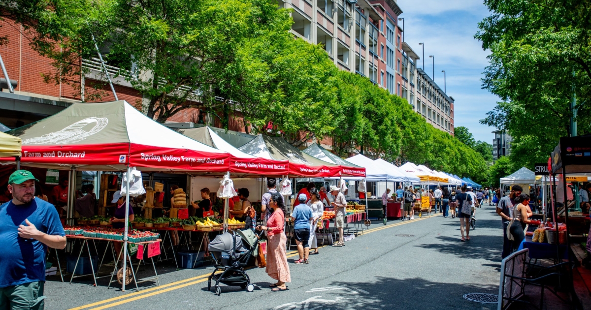 Celebrate National Farmers Market Week 2024 With FRESHFARM – FRESHFARM