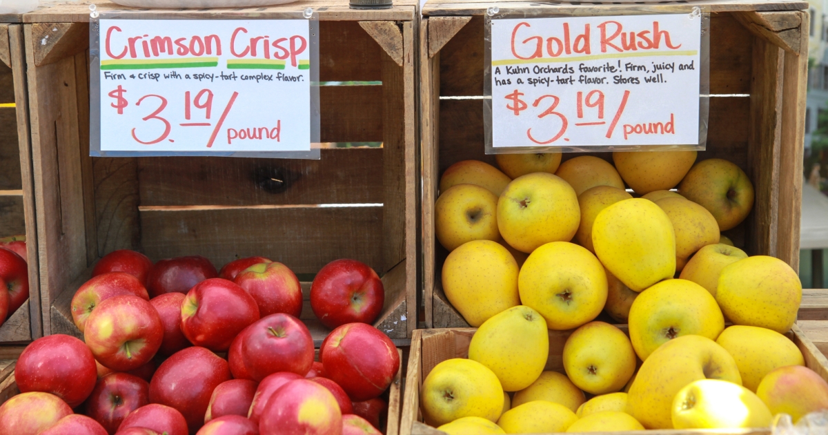 Ten Things You Might Not Know About the Local Food System – FRESHFARM