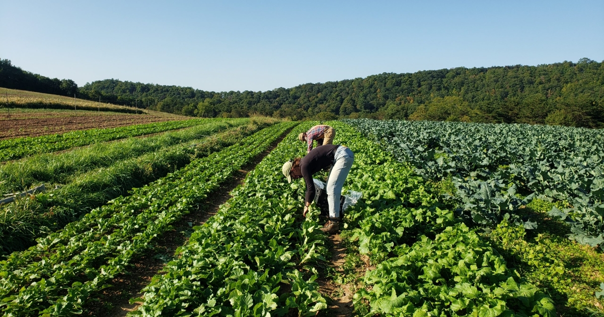 Climate Adaptive Farming – FRESHFARM